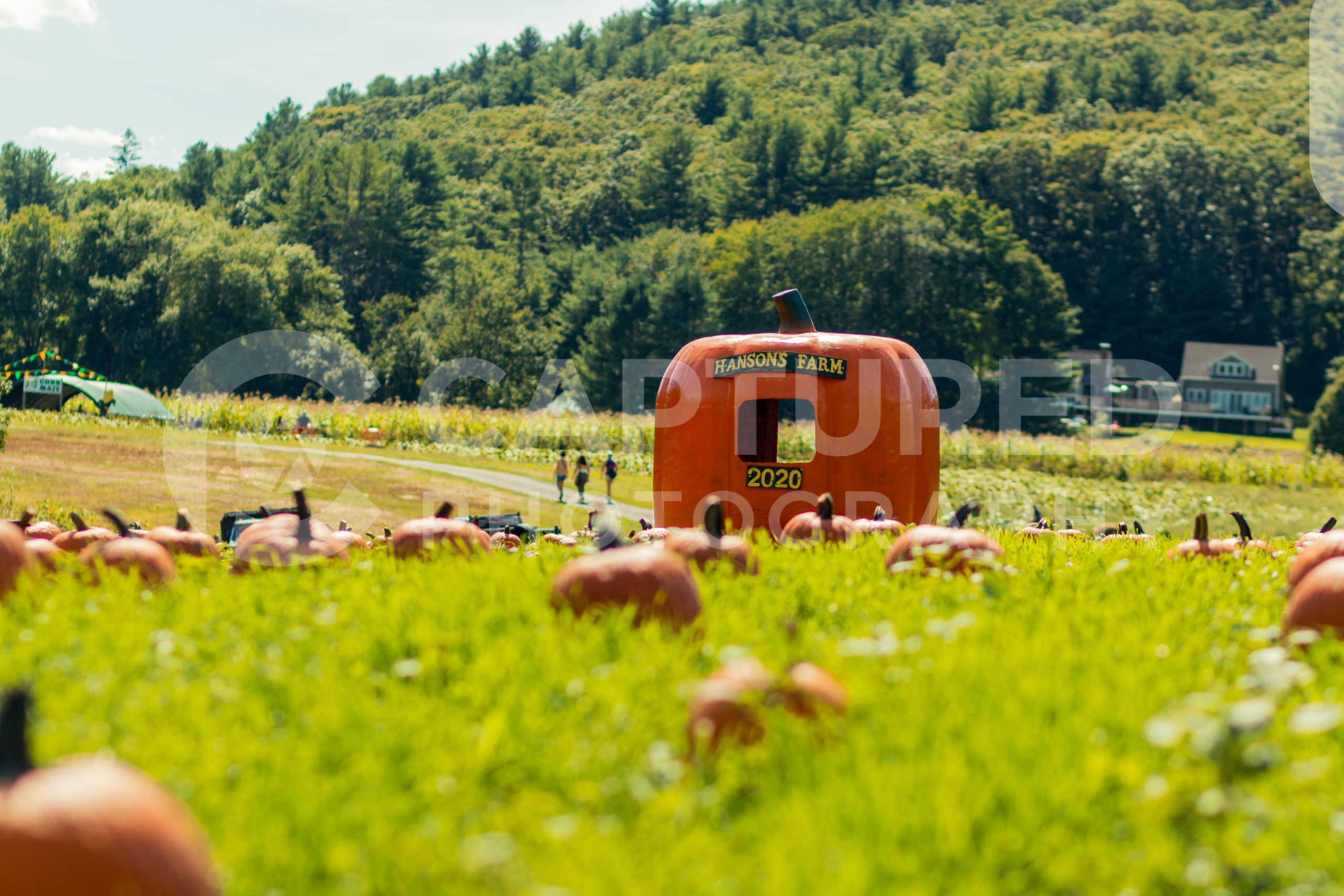 PHOTOS: Spend a Fall Day at Hanson's Farm in Framingham - Framingham Source