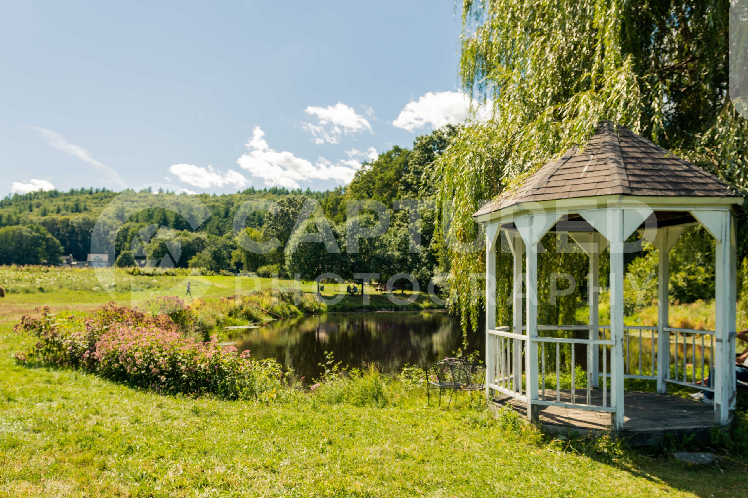 PHOTOS: Spend a Fall Day at Hanson's Farm in Framingham - Framingham Source