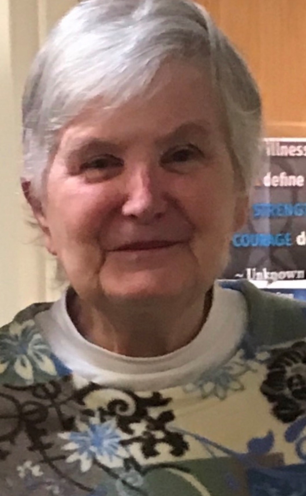 Alice Canning, 80, TJX Retiree and Framingham High Star Hoopster ...
