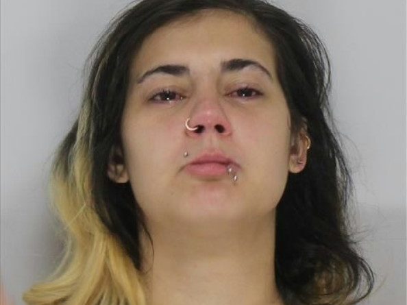 Stephanie Tavares Archives - Framingham SOURCE