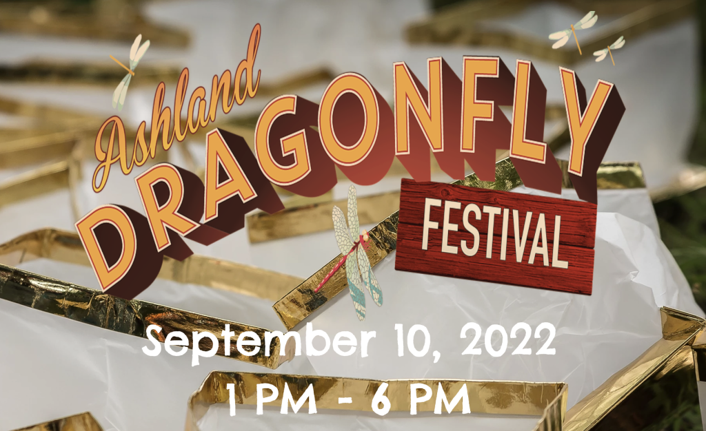 9th Annual Dragonfly Festival Saturday - Framingham Source