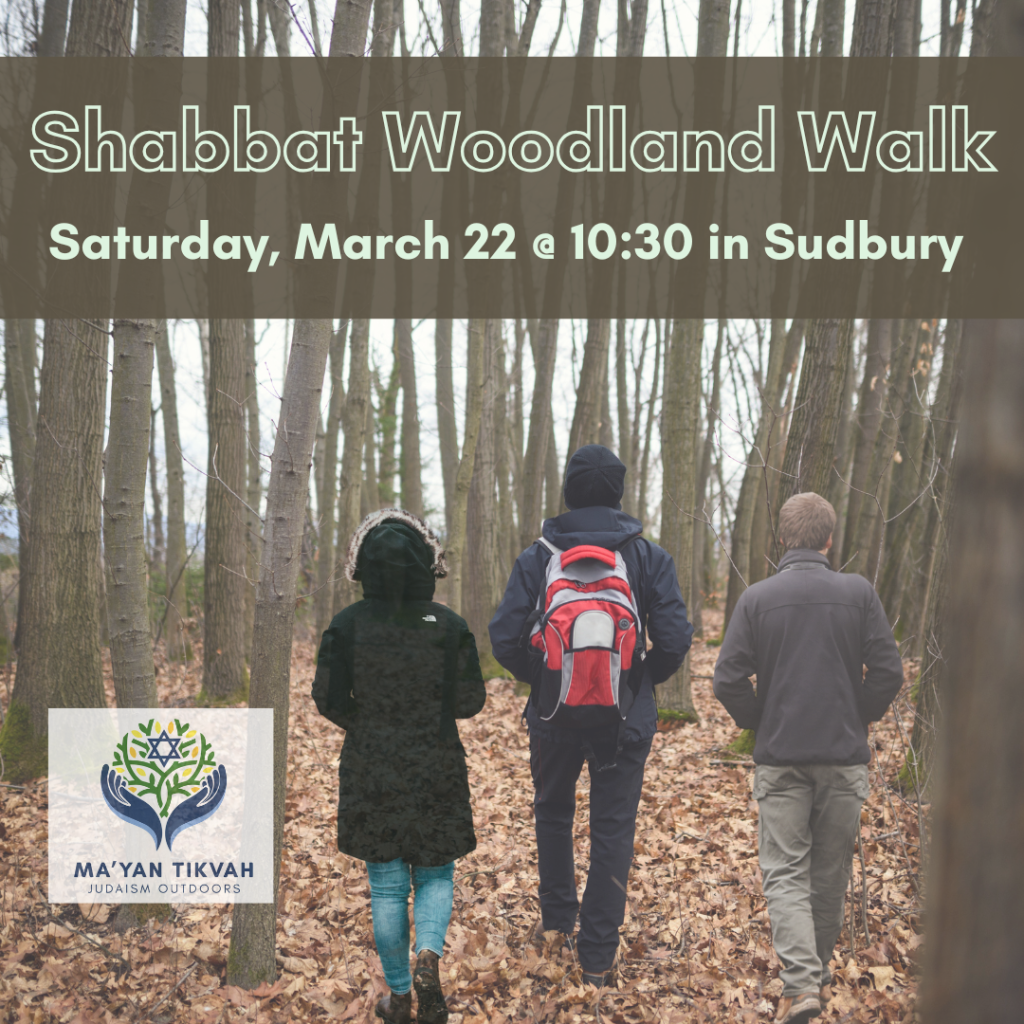 Shabbat Woodland Walk - Framingham Source